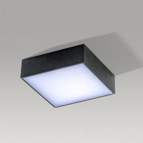 LED bodové světlo Falco 12 3000K černé