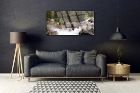 Obraz na skle Les Řeka Vodopády 100x50 cm