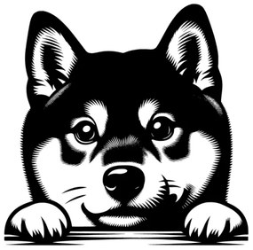Samolepka pes Shiba-Inu