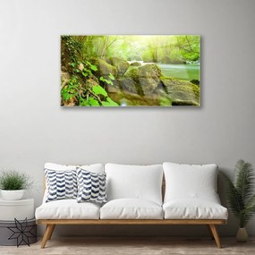 akrylový obraz Jezero Kameny Příroda 100x50 cm