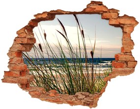 Wallmuralia Díra 3D ve zdi nálepka Mořské duny 90x70 cm
