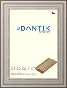 DANTIK rámeček 21x29,7 | TOULON bílá velká (Sklo Čiré)
