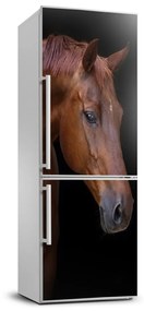 Wallmuralia Nálepka fototapeta lednička Portrét koně 60x180 cm