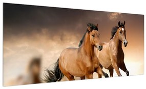 Obraz koní (100x40 cm)