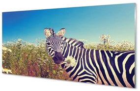 akrylový obraz zebra květiny 120x60 cm