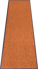 Hanse Home, Rohožka Wash & Clean 101469 Orange, 60x180, oranžová, chodba / předsíň