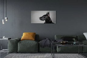 Obrazy na plátně Černý pes 120x60 cm