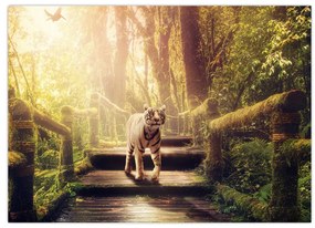 Obraz tygra v džungli (70x50 cm)