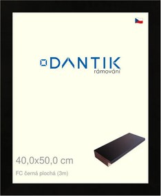 DANTIK rámeček 40x50 | FC černá plochá (Plexi Čiré)