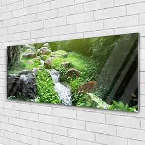 akrylový obraz Potom Trávy Příroda 125x50 cm