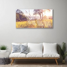 Obraz na skle Louka Tráva Strom Příroda 125x50 cm