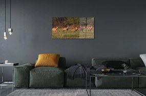 Obraz na skle Deer Golf svítání 125x50 cm