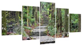 Obraz kamenných schodů v lese (150x80 cm)
