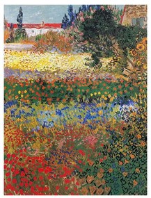 Reprodukce obrazu 45x60 cm Flower garden - Fedkolor