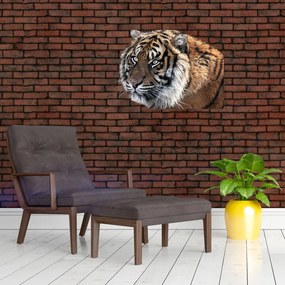 Skleněný obraz tygra (70x50 cm)