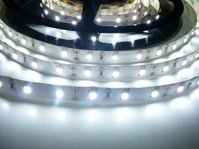 LED Solution LED pásek 12W/m 12V s krytím IP54 Barva světla: Teplá bílá 07704