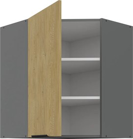 CREMONA ac | horní kuchyňská skříňka 60x60 GN-72 1F (45°) rohová s policemi | 60x60 cm | antracit/cremona