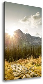Wallmuralia Vertikální Foto obraz na plátně Západ slunce Tatry 50x100