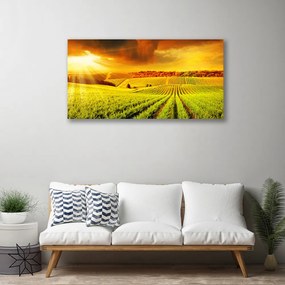 Obraz na plátně Pole Západ Slunce Krajina 125x50 cm