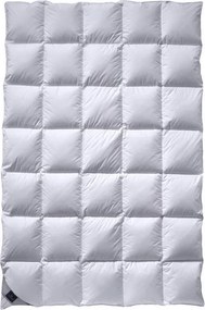 XXXLutz CELOROČNÍ PŘIKRÝVKA, 140/200 cm, Billerbeck - Přikrývky - 003279008301