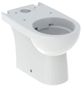 Geberit Selnova Comfort - WC kombi mísa, zadní/spodní odpad, Rimfree, bílá 500.478.01.7