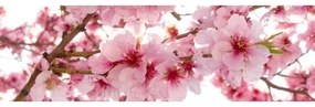 DIMEX | Běhoun na stůl Květy jabloně TS 012 | červená, růžová | 40 x 140 cm