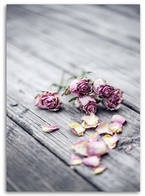 Gario Obraz na plátně Sušené růže Rozměry: 40 x 60 cm