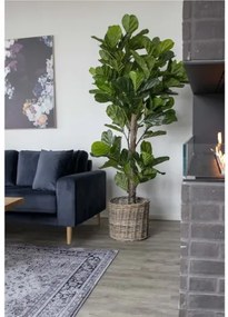 Umělá květina FIDDLE listový strom 190 cm House Nordic 9501050