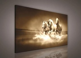 Obraz na plátně stádo koní 100 x 75 cm
