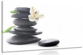 Obraz Zen kameny s lilií Varianta: 120x80