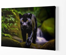 Obraz na plátně - Černý panter hrdě vykračuje u vodopádu FeelHappy.cz Velikost obrazu: 60 x 40 cm