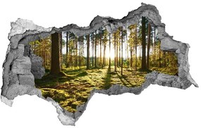 Wallmuralia Nálepka fototapeta 3D na zeď Sosnový les 95x73 cm