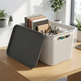 Rotho Úložný box s víkem a s madly BRISEN 16l, 36x26,2x21cm, bílý