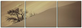 Obraz na plátně - Červené písečné duny - panoráma 5133FC (150x50 cm)