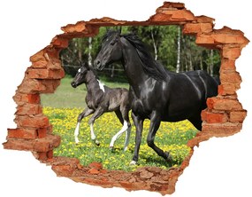 Wallmuralia Díra 3D fototapeta Kobyla s hříbětem 90x70 cm