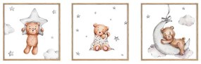 Dětské obrázky v sadě 3 ks 20x20 cm Teddy Bear