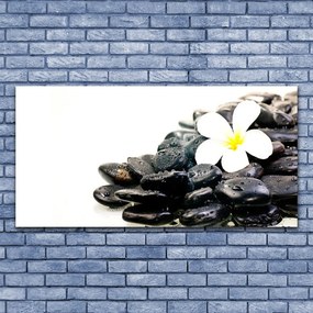 akrylový obraz Květiny Kameny Umění 120x60 cm