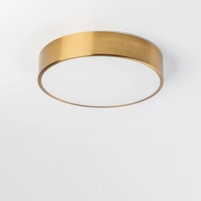 Brilagi - LED Koupelnové stropní svítidlo POOL LED/24W/230V pr. 30 cm IP54 bronz