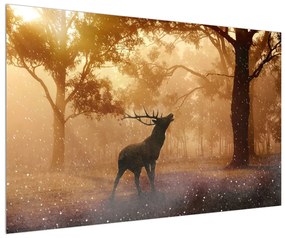 Obraz jelena v říji (120x80 cm)