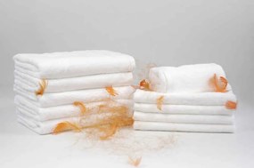 Bavlněný ručník Cezar NN 50x100 cm bílý