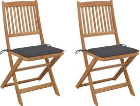 vidaXL Skládací zahradní židle s poduškami 2 ks masivní akáciové dřevo [3064644] Barva: antracitová