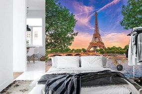 Fototapeta Paříž Eiffelova Věž Omyvatelný vlies 90x60