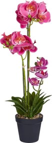 Butlers FLORISTA Orchidej v květináči 51 cm - růžová