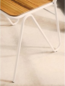 Bílá/v přírodní barvě jídelní židle z jilmového dřeva District – Premier Housewares