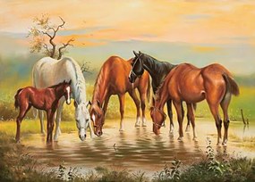 Koně u vody - 50 x 70 cm