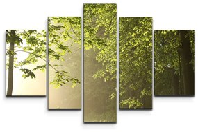 Sablio Obraz - 5-dílný Lesní cesta - 125x90 cm