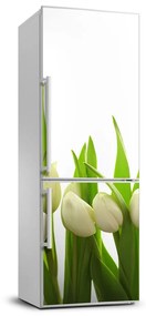Wallmuralia Fototapeta nálepka na ledničku Tulipány 60x180 cm