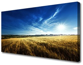 Obraz na plátně Pole Obilí Slunce Krajina 100x50 cm
