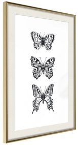 Artgeist Plakát tři motýli Velikosti (šířkaxvýška): 20x30, Finální vzhled: Zlatý rám s paspartou