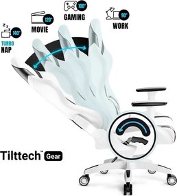 Herní židle Diablo X-Horn 2.0 Normal Size : Bílo-černá Černá/bílá